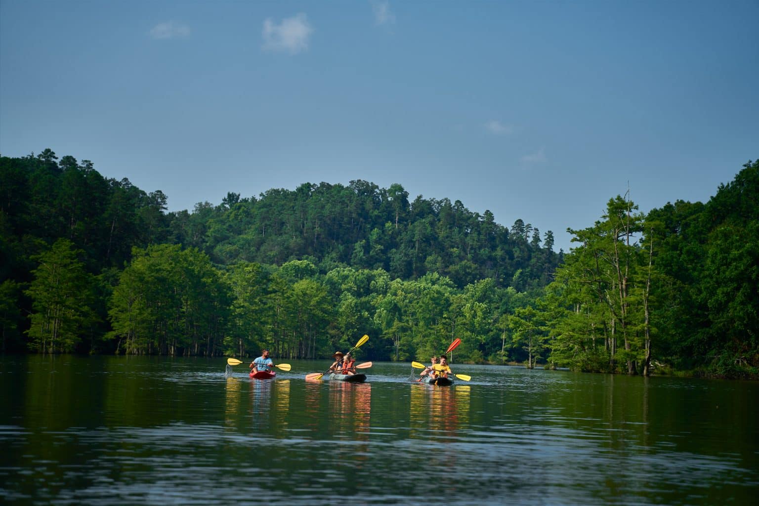 5 Must See Spots in Beavers Bend State Park - Beavers Bend Cabin Country